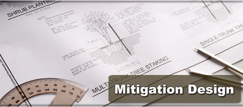 Evergreen Aquatic Resource Consultants - Wetland Mitigation, Wetland ...